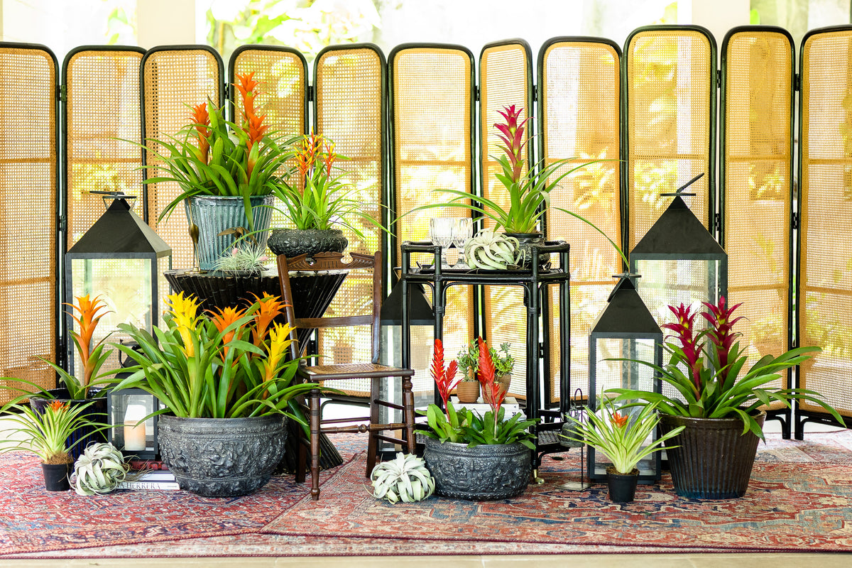 All Products – Spruce Florals & Events