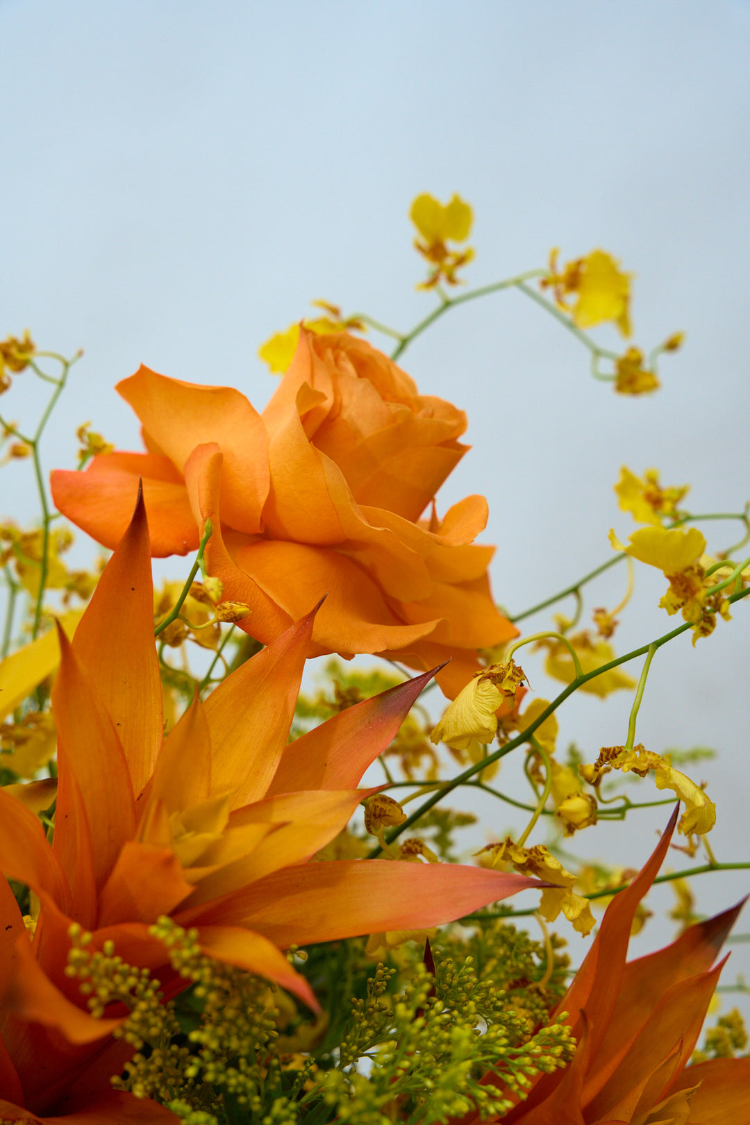 Spruce Floral Designs – Spruce Florals & Events