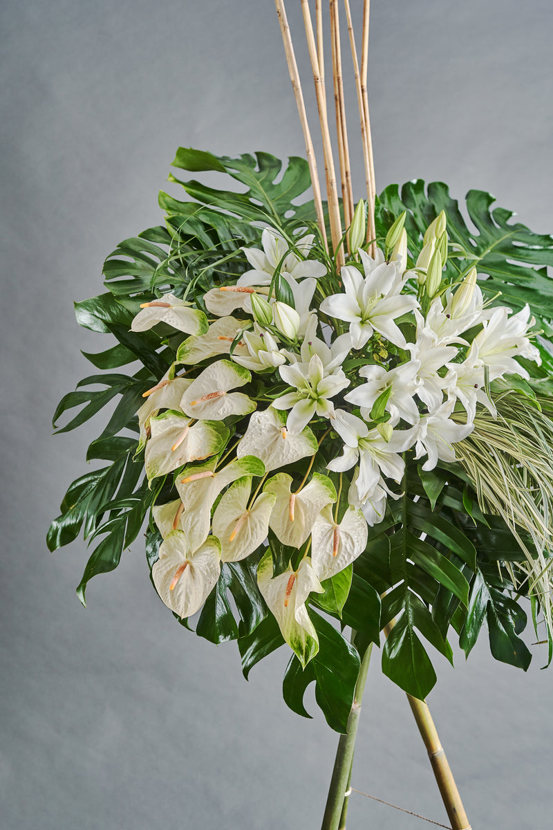 Aurora – Spruce Florals & Events